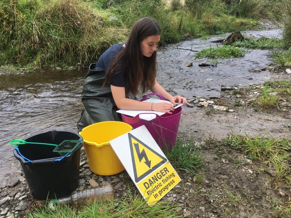 Bridgwater & Taunton College