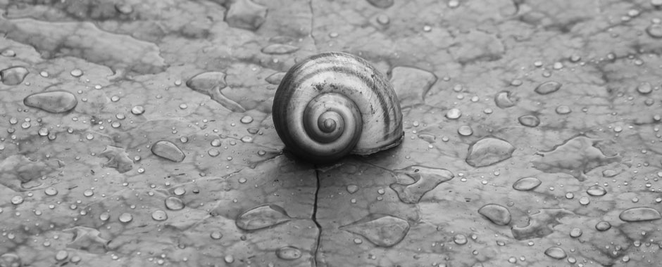 Bridgwater & Taunton College