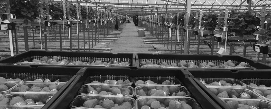 Bridgwater & Taunton College