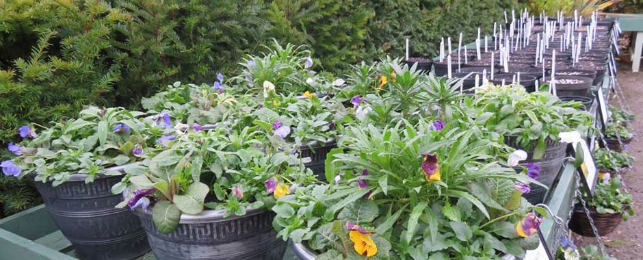 Bridgwater & Taunton College