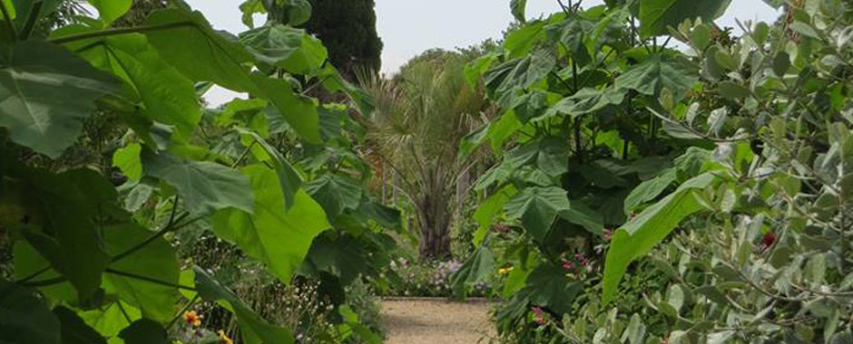 Bridgwater & Taunton College