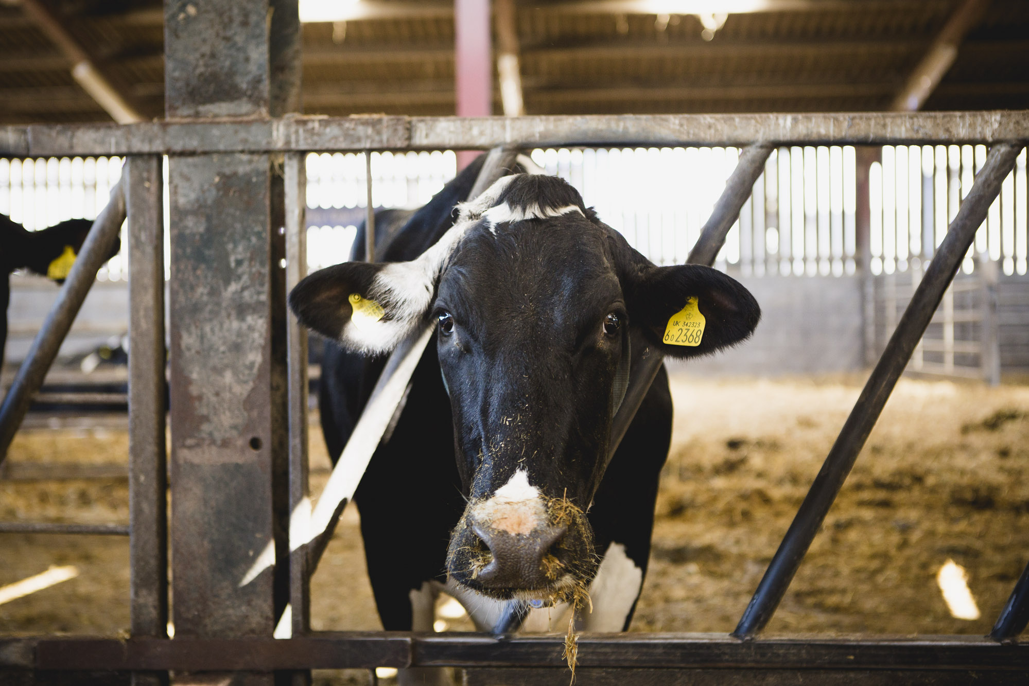 Bridgwater & Taunton College